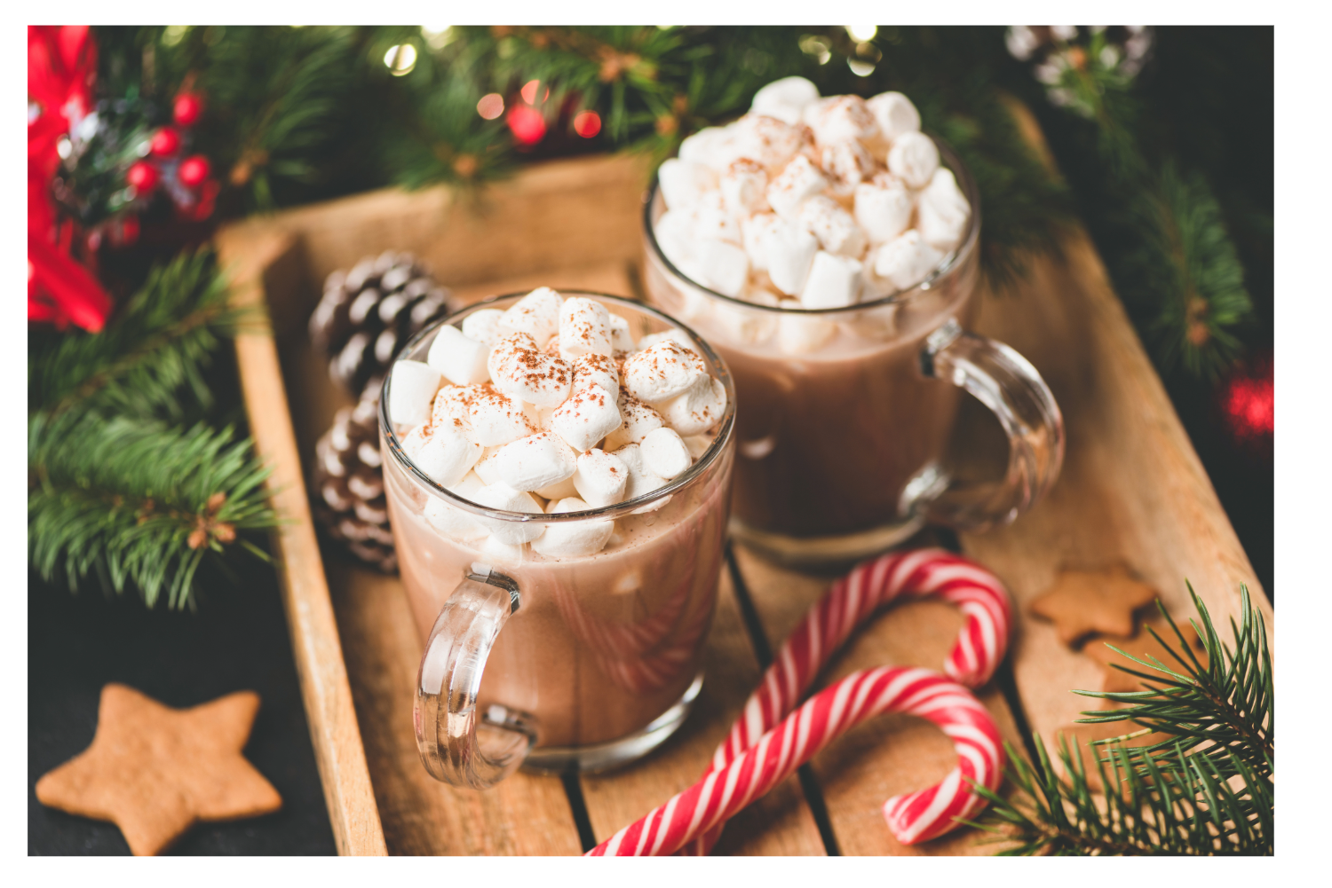 Hot Chocolate at Crafted in Alaska – Anchorage Museum Store